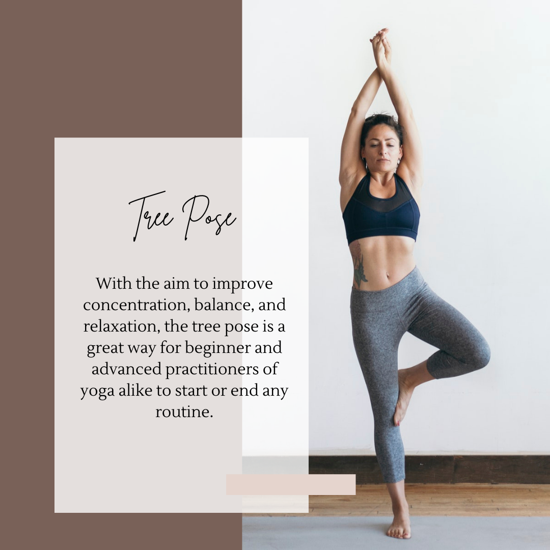 Deep Dive into Tree Pose – Inspired Life